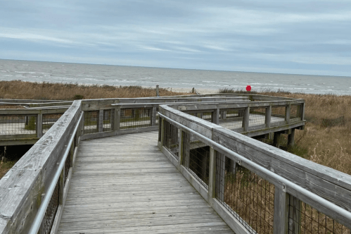 Collect Seashells on Sea Rim State Park Trail in Texas