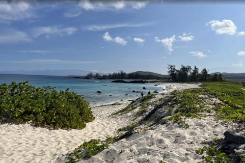 Gooseberry Island Westport, MA: The Best Panoramic Views