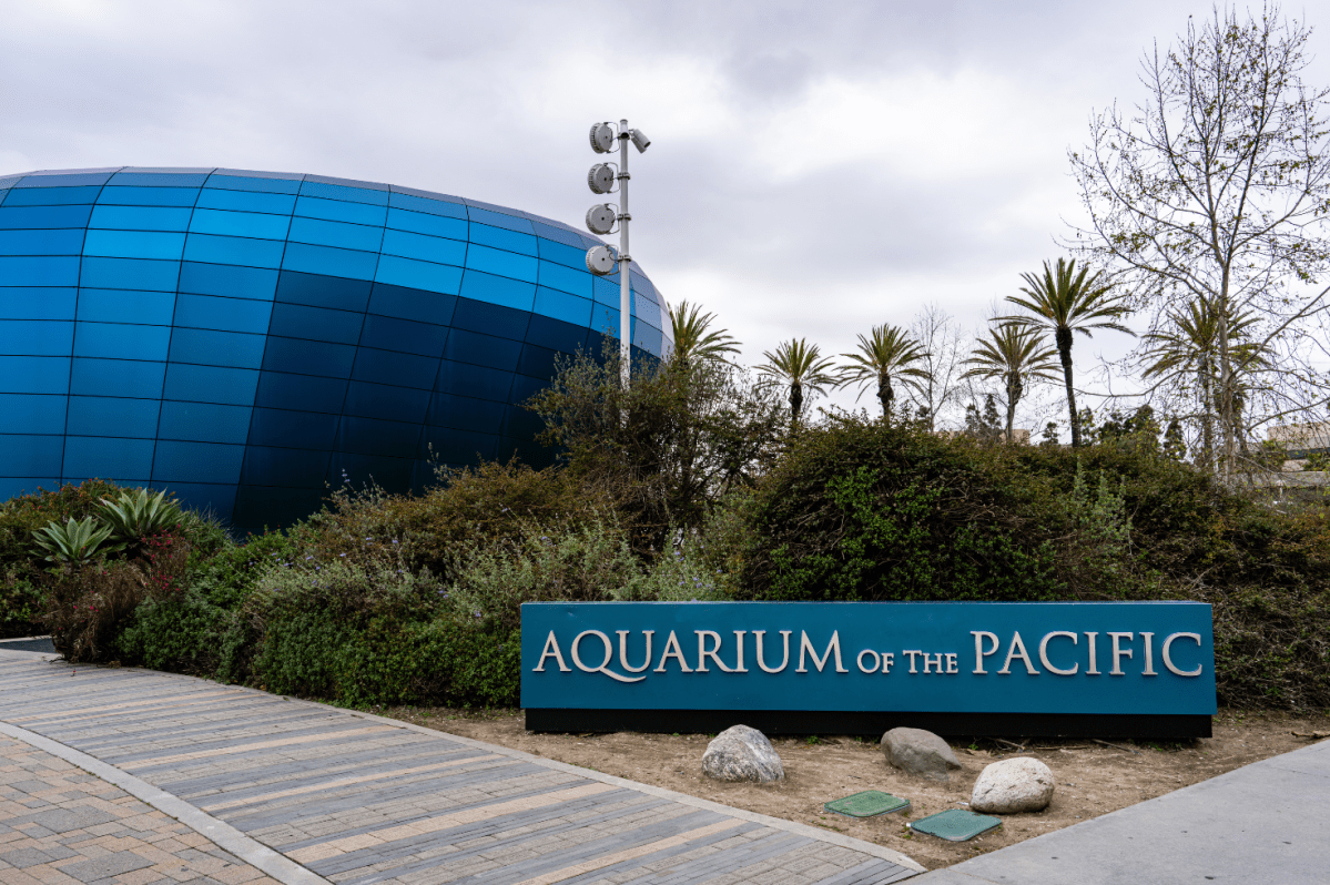 Aquarium of the Pacific: Interactive Aquarium in Long Beach, California