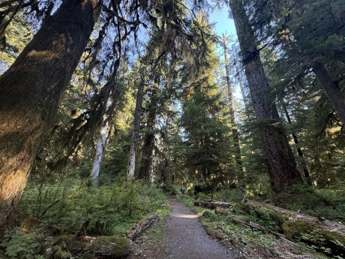Trail To Enchanted Valley: Hike the Best Waterfall Trail in Washington
