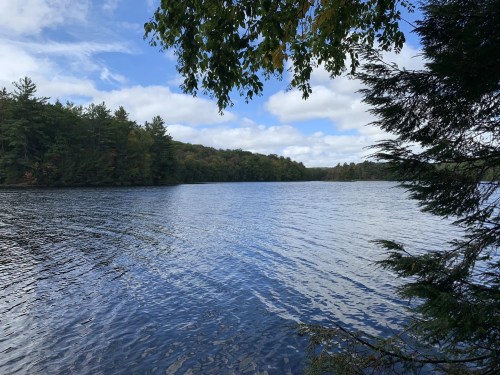 Stay Cool at the 13 Best Swimming Holes in Massachusetts