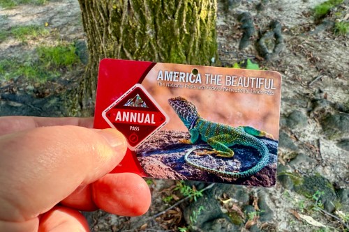 Save Hundreds (Or More!) on National Park Admission With America the ...