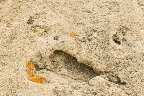 Best Park to Discover Fossils in Nebraska