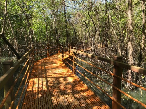 15 Best State Parks in Missouri To Visit ASAP