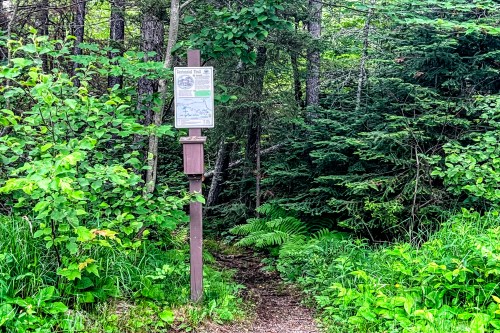 This Minnesota Trail Has a Surprising History