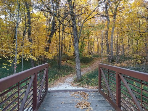 The 18 Best State Parks in Iowa to Visit ASAP