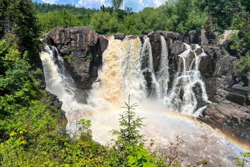 Explore Sax-Zim Bog: Minnesota's Birding Paradise with New Trails