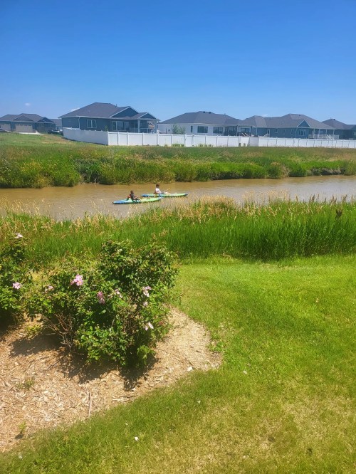 Best Summer Adventure in Nebraska: Swan Boats at Yanney Heritage Park