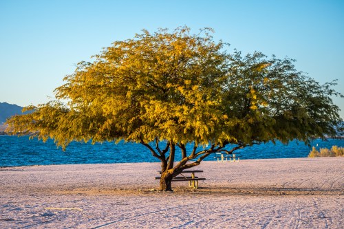 The 15 Best State Parks in Arizona to Visit ASAP
