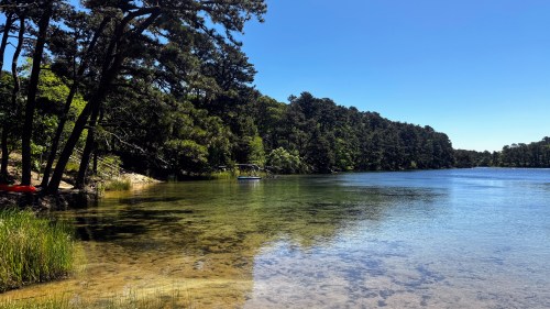 Beyond the Beaches: Discover the Little Known Kettle Ponds of Cape Cod