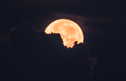 Full Moon Hikes in Ohio: Observatory Park