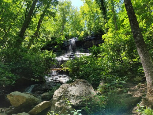 The 15 Best State Parks in South Carolina to Visit ASAP
