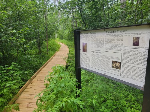 Hidden Minnesota Gem: Mickey Elverum Bog Walk
