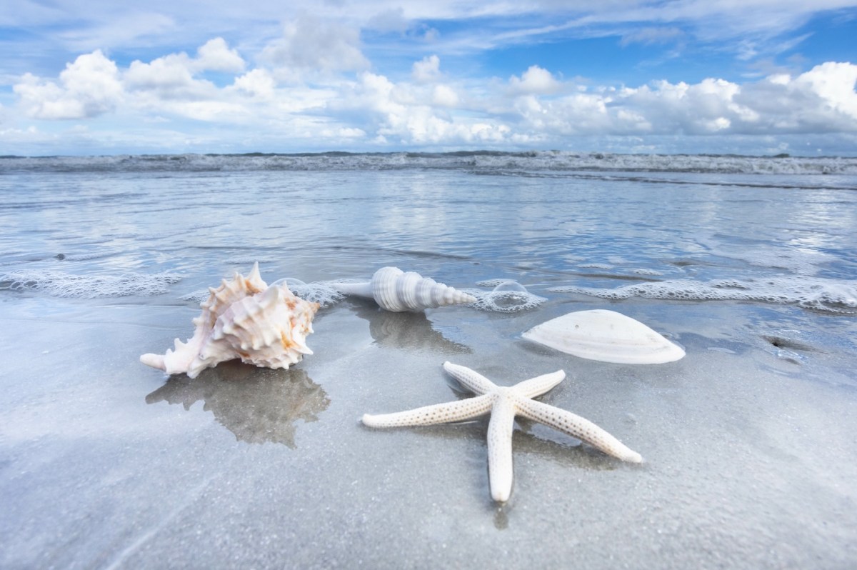 This Beach Is Ideal for Beachcombing in South Carolina
