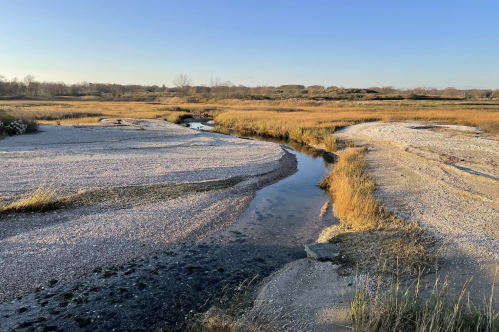Silver Sands State Park Is the Single Best State Park in CT