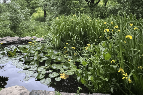 Best Celebrity-Owned Restaurant In Kansas City, MO