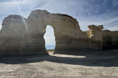 Dig This: Fossil Finds Await in Kansas!