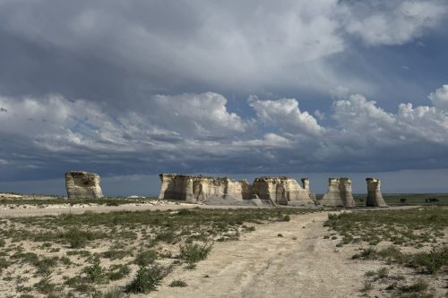 Dig This: Fossil Finds Await in Kansas!