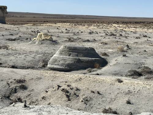 Dig This: Fossil Finds Await in Kansas!