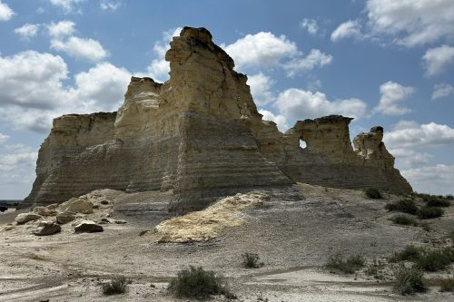 Dig This: Fossil Finds Await in Kansas!