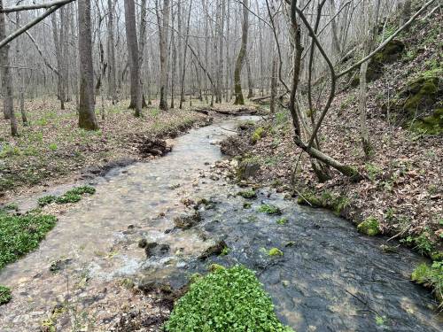 Rock On! Discover Nature’s Treasures in Missouri