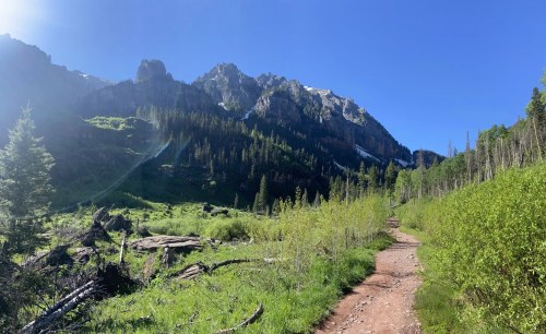 Bear Creek Falls Trail: One of Colorado's Best Waterfall Hikes
