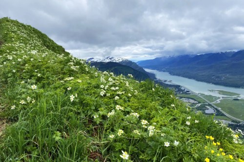 Portage Pass Trail: The Only Place in Alaska Where You Can View Portage ...