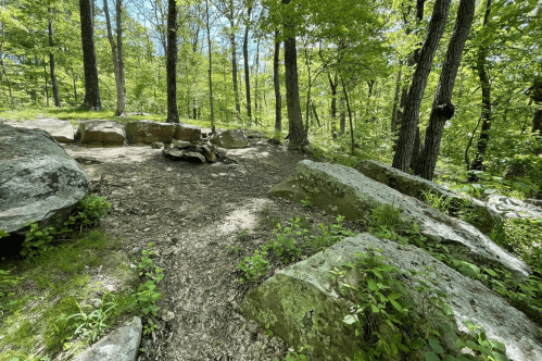5 Underrated Hikes in Indiana's Hoosier National Forest Worth Exploring