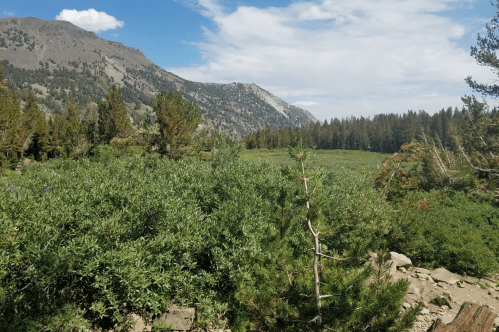 These Giant Skeletons Found In Nevada Still Live On In