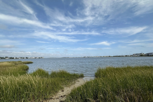 Ashland: A Stunning Delaware Nature Center