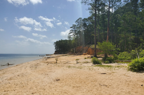 Riley's Tavern In Texas Is One Of The Oldest Bars In the State