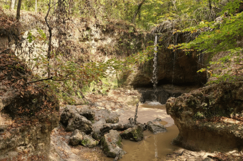 Best Times and Places to See Fall Foliage in Mississippi