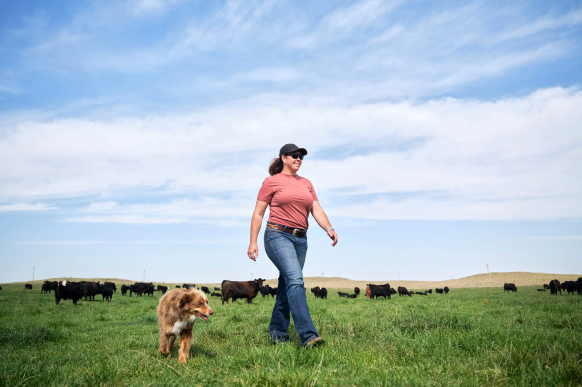 Discover Wray, Colorado: A Hidden Gem on the Plains