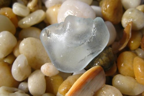 Rocky Point Beach: Rhode Island's Sea Glass Hotspot