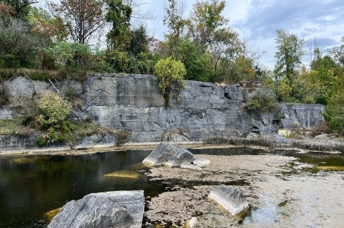 Fossil Hunting Hotspot: Vermont's Fisk Quarry Preserve