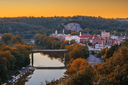 The Tulips at Ruby Branch Farms in Kentucky are Stunning