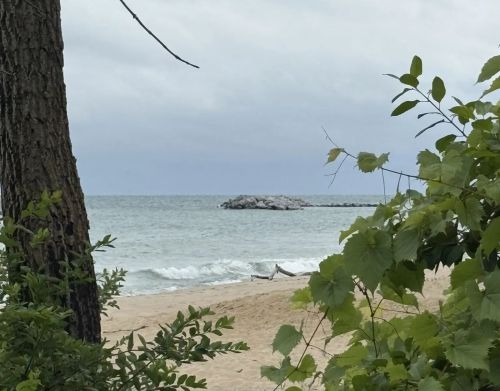 State Park Beaches in Illinois To Visit To Close Out Summer