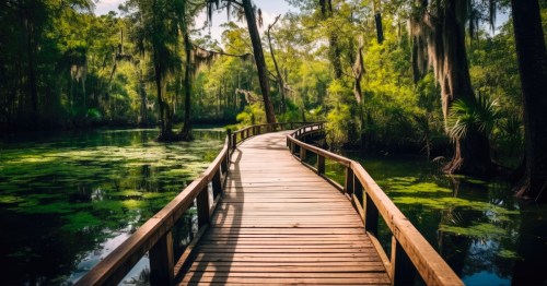Florida Has Its Own Bigfoot and He’s Hiding in the Everglades