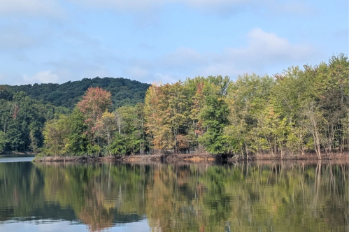 5 Underrated Hikes in Indiana's Hoosier National Forest Worth Exploring