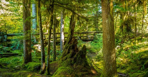 Hug Point State Recreation Site: An Oregon State Park That Awes and ...