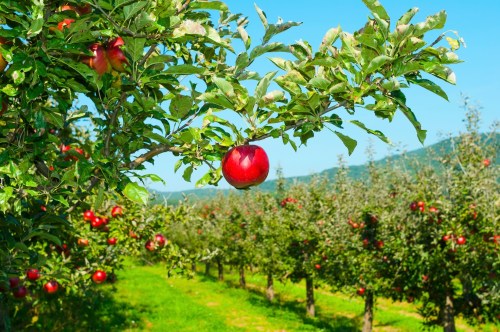 Things To Do In Morris, Connecticut: A Delightful Small Town