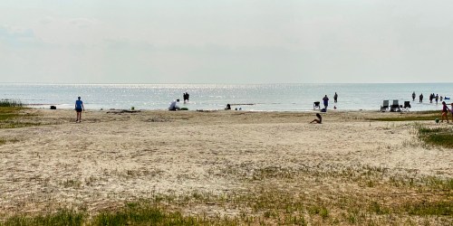 Visit These 5 Best State Park Beaches in Minnesota