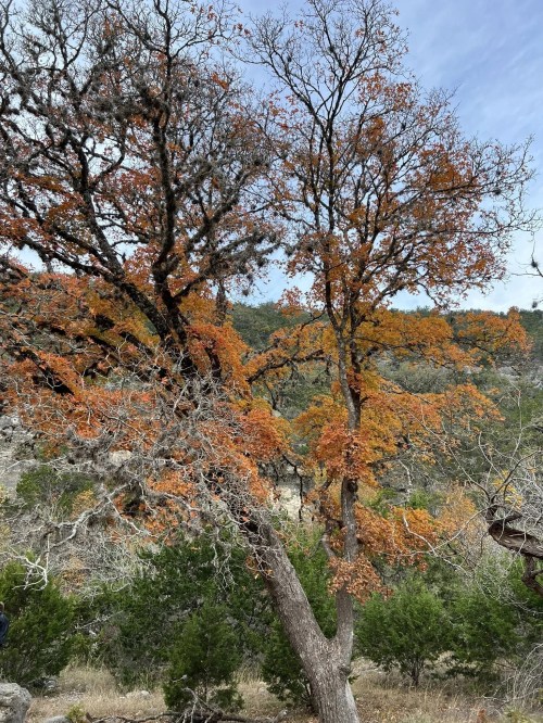 Best Fall Foliage in the US: Get Ready for Autumn