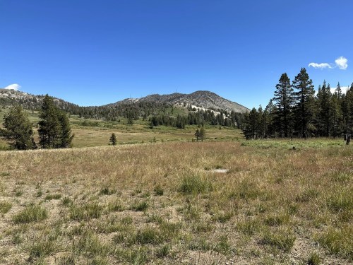 Underrated Humboldt-Toiyabe National Forest: Alternatives to Great ...