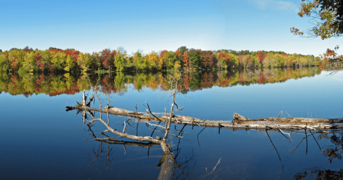 Orono, Maine: College Town Fall Getaway Destination