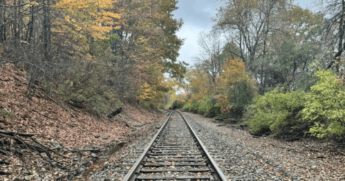 Orono, Maine: College Town Fall Getaway Destination