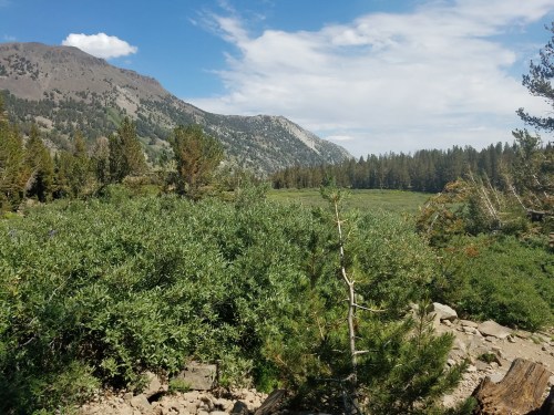 Underrated Humboldt-Toiyabe National Forest: Alternatives to Great ...