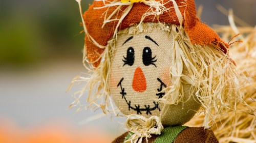 The 7 Best Fall Festivals in Missouri for 2025