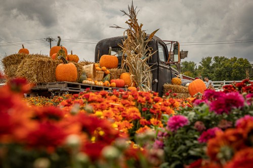 6 Best Fall Festivals in New Jersey 2025