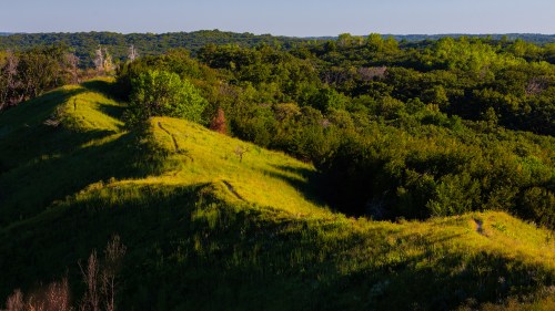 You'll Love These 4 Hikes in Iowa's State Forests